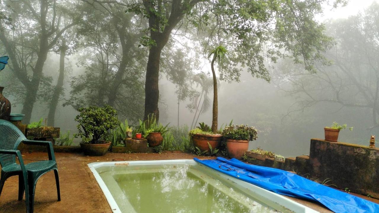 Gallery | Thathe Dam Lodge