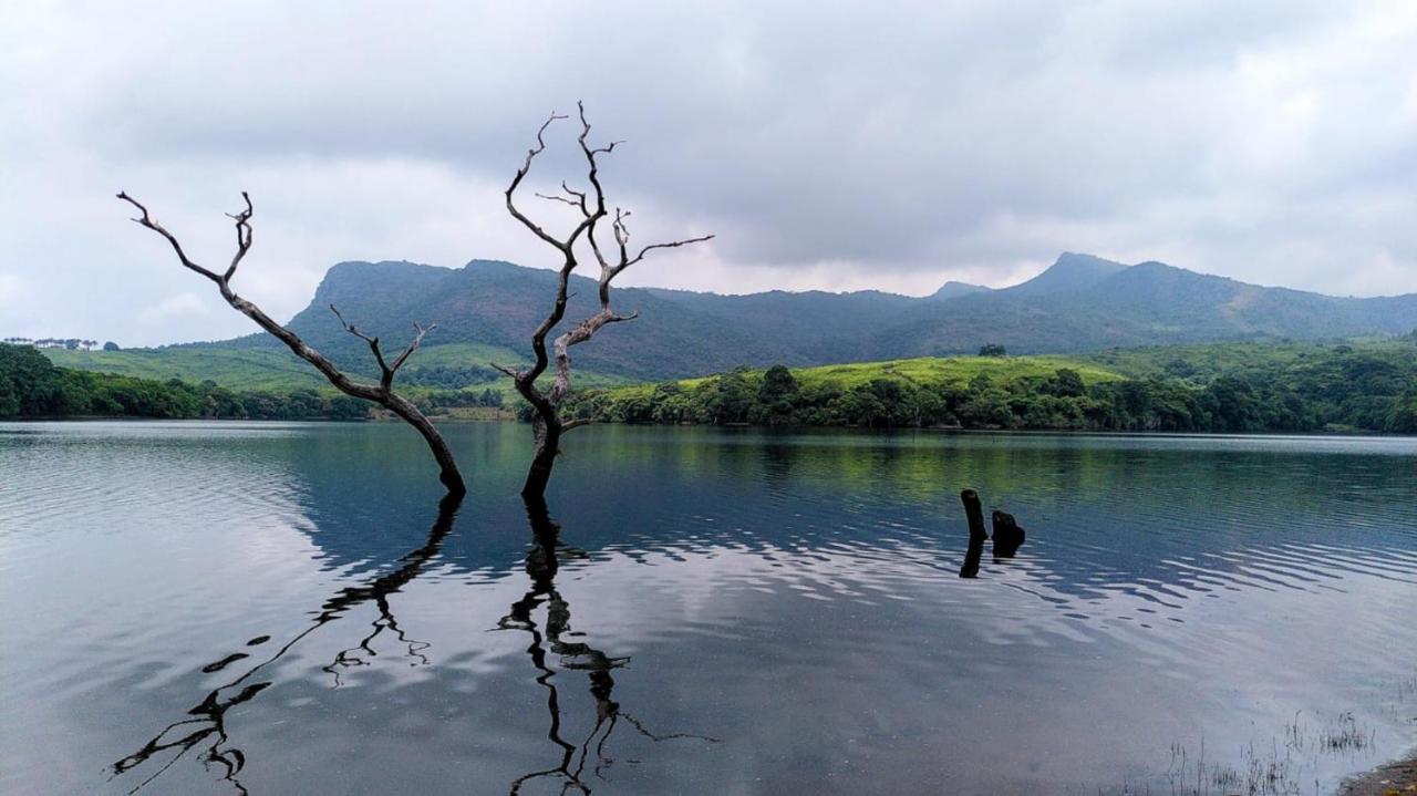 Thathe Dam Lodge | Your Gateway to Venda's Beauty